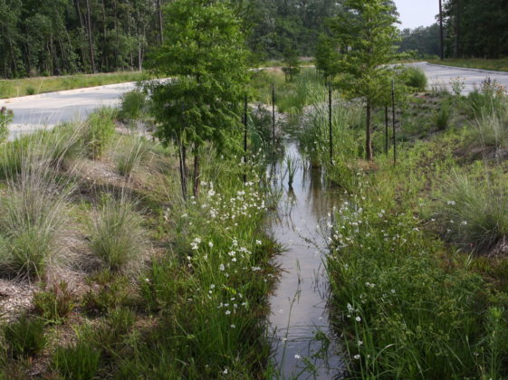 FocalPoint | Stormwater Biofiltration Systems | Green Infrastructure ...