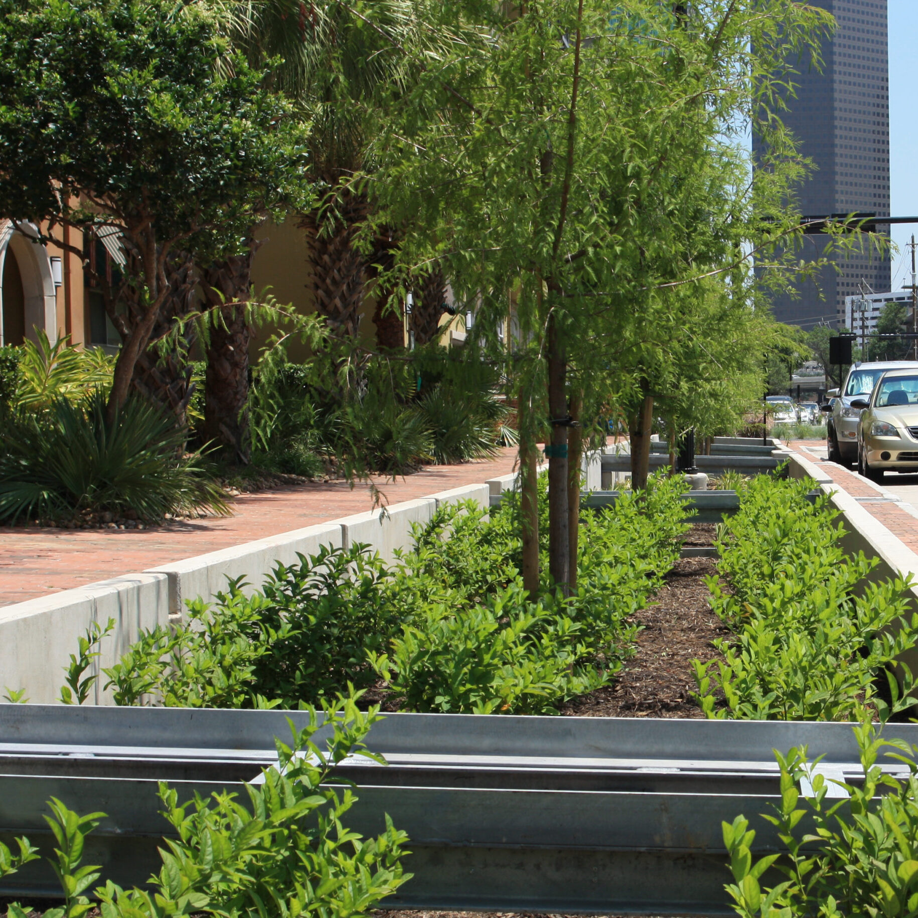 FocalPoint High-Performance Modular Biofiltration System