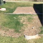 FocalPoint HPMBS: Mulch Matters | Convergent