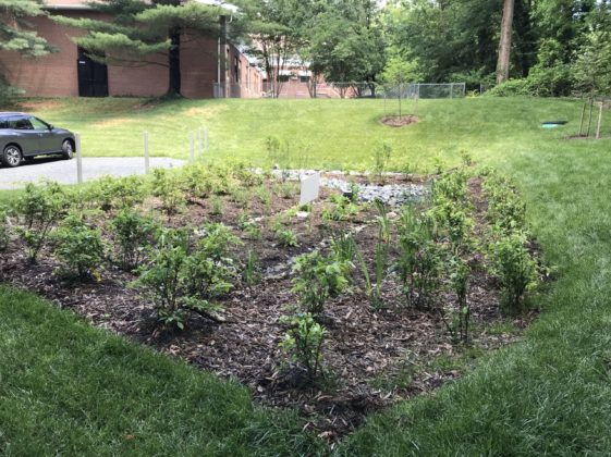 FocalPoint High-Performance Modular Biofiltration System