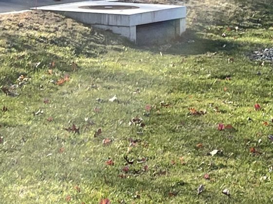 Biofilter Inlet Systems for Stormwater Pretreatment